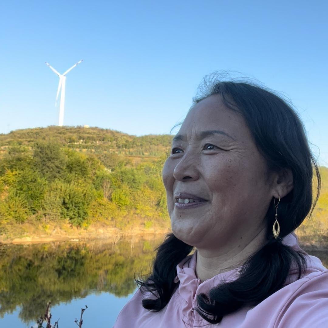 新视 - 视频号数据分析工具