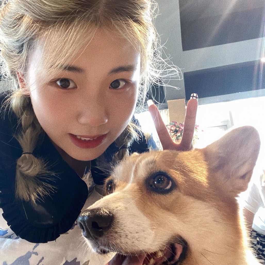 新视 - 视频号数据分析工具