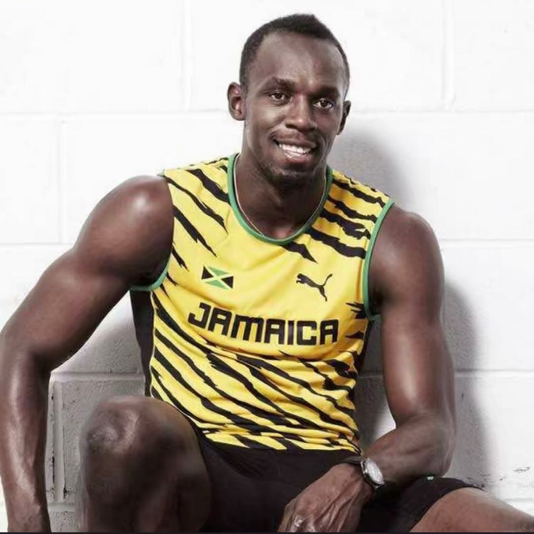 新视 - 视频号数据分析工具