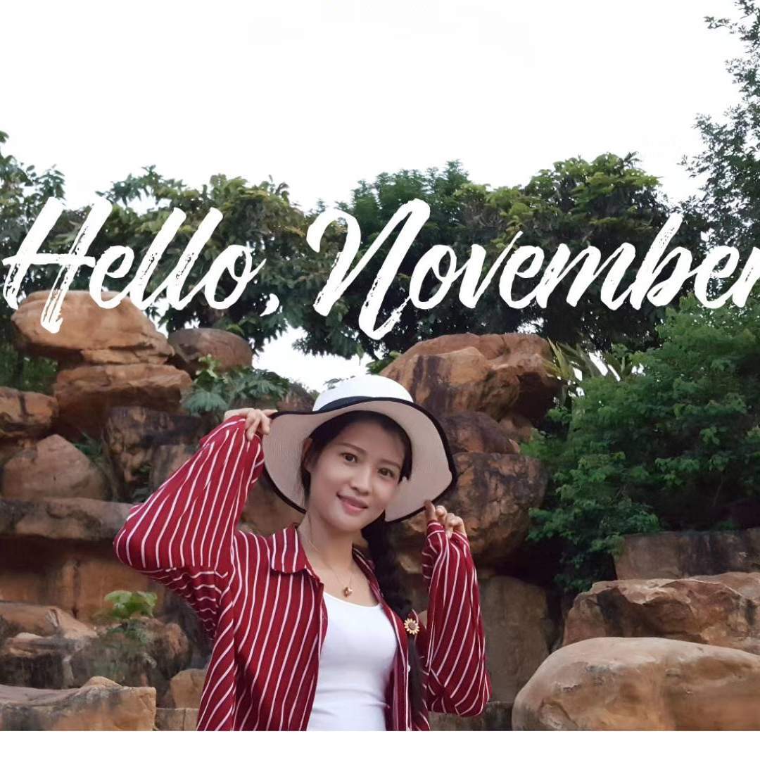 新视 - 视频号数据分析工具