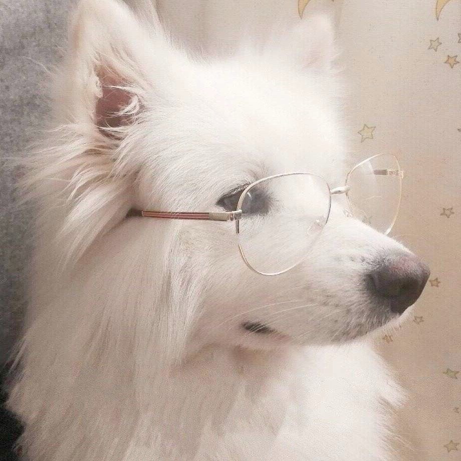 request:fail url not in domain list | 微信开放社区