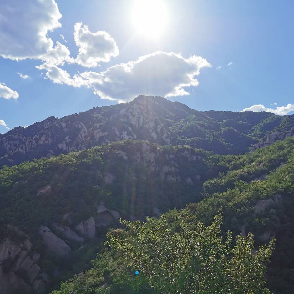 如何设置打开网页的默认浏览器？ - 开发者社区 - 企业微信开发者中心