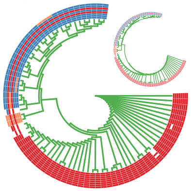 YuLabSMU-当clusterProfiler遇见stringdb...-次幂数据