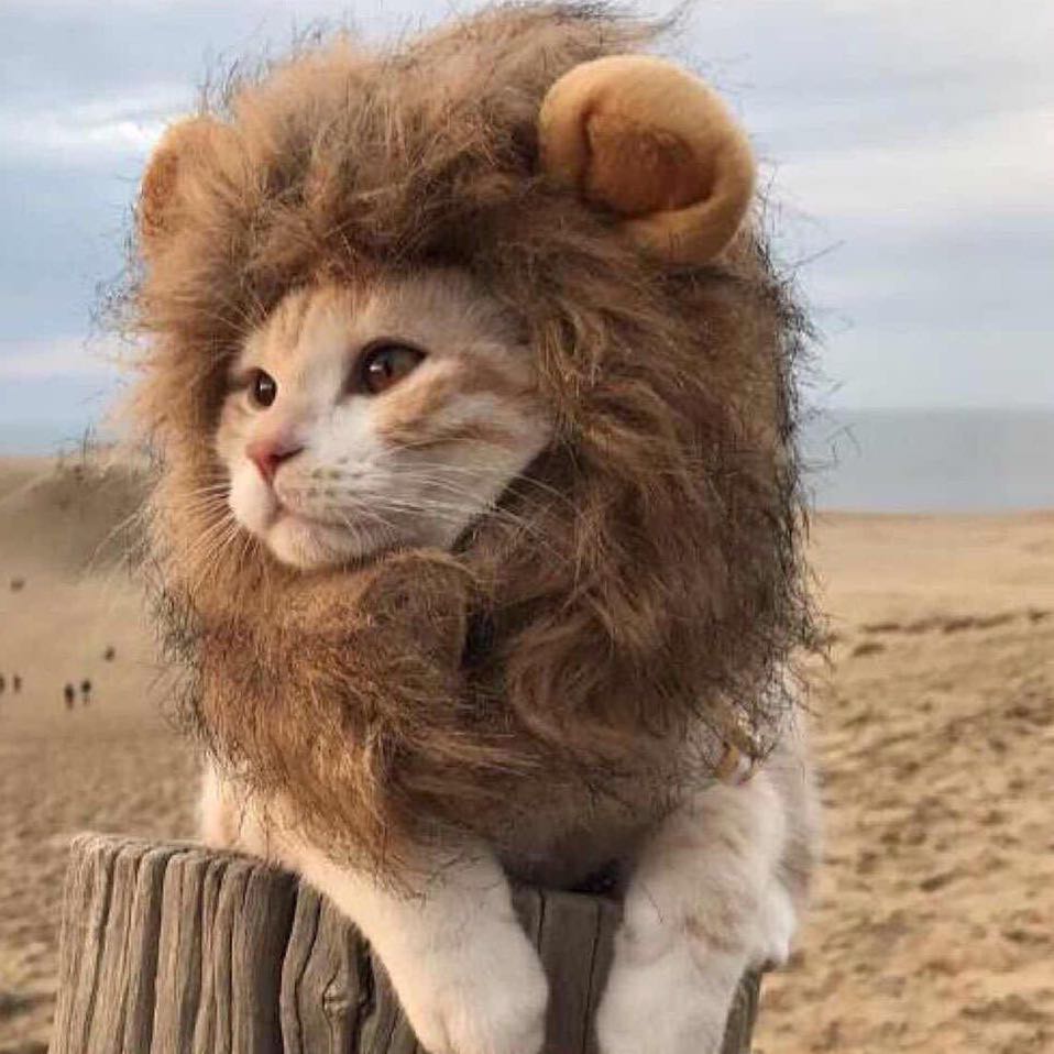 企业微信成员ID列表 api forbidden 48002 问题 ！ToBDev企微常见问题系列！ - 开发者社区 - 企业微信开发者中心